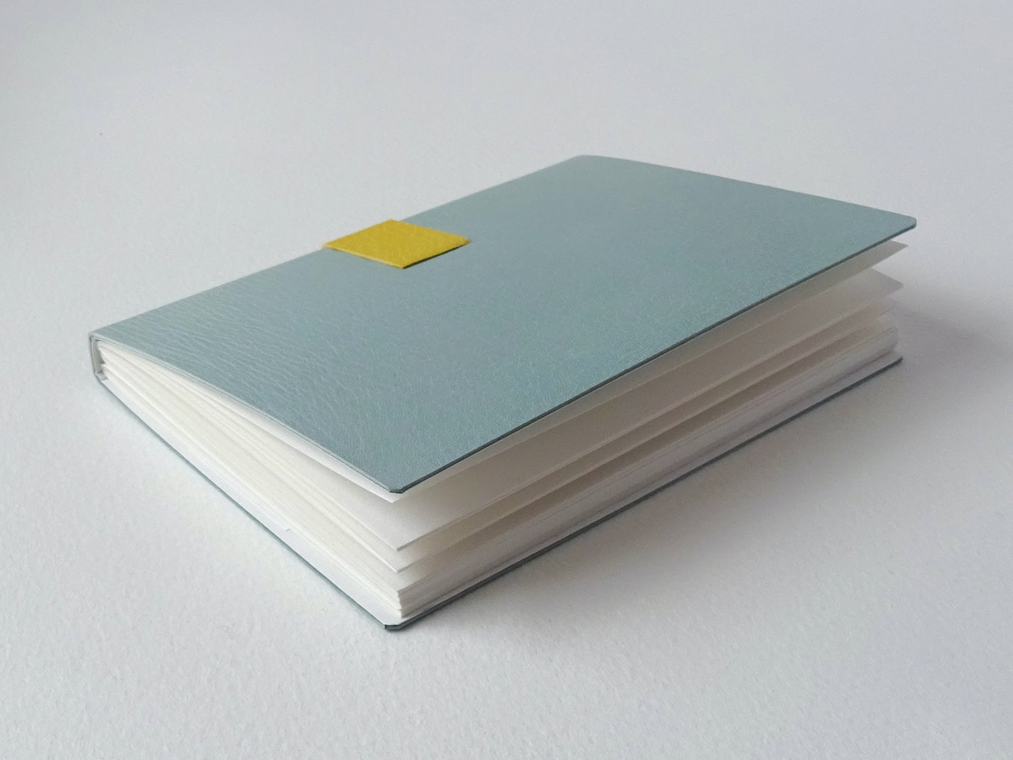 Slim Leather Notebook – Celandine Books