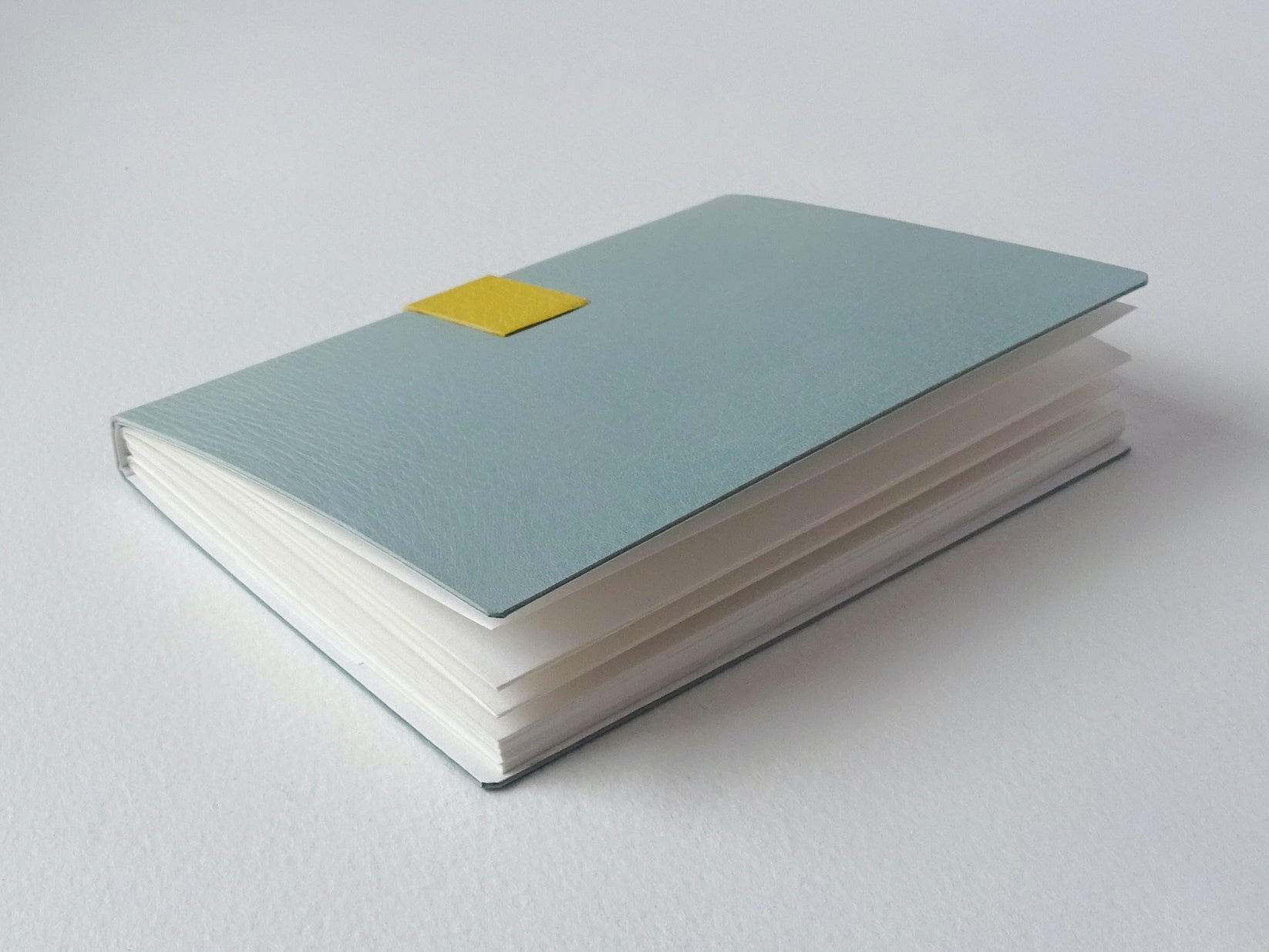 Slim Leather Notebook – Celandine Books